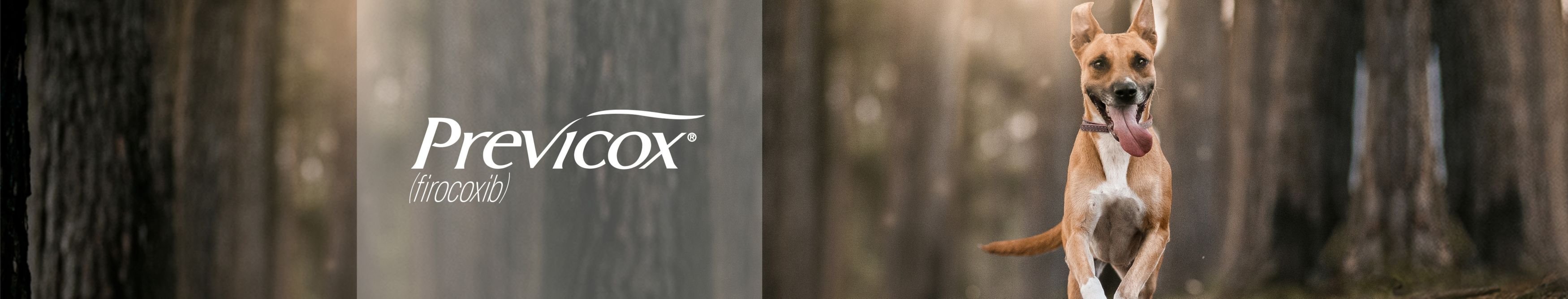 PREVICOX (Firocoxib) Chewable Tablets for Dogs, 57-mg - Easy Refills ...