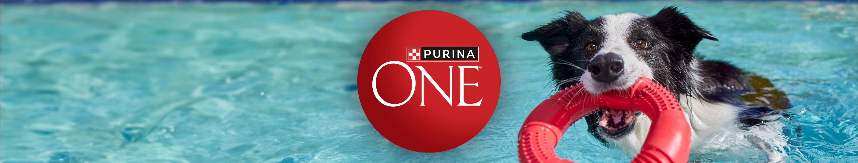 PURINA ONE +Plus Adult Joint Health Formula Dry Dog Food, 8-lb bag ...