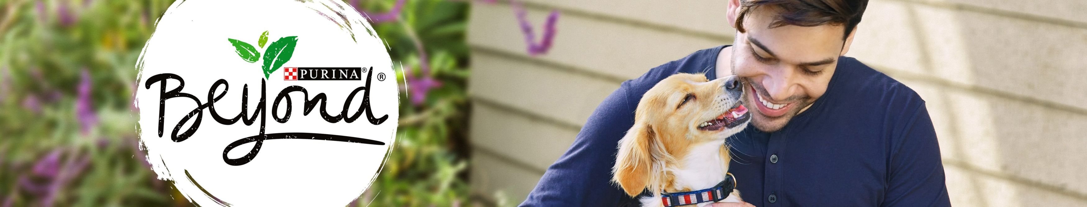 PURINA BEYOND Wild Prey-Inspired Grain-Free High Protein Turkey, Liver ...