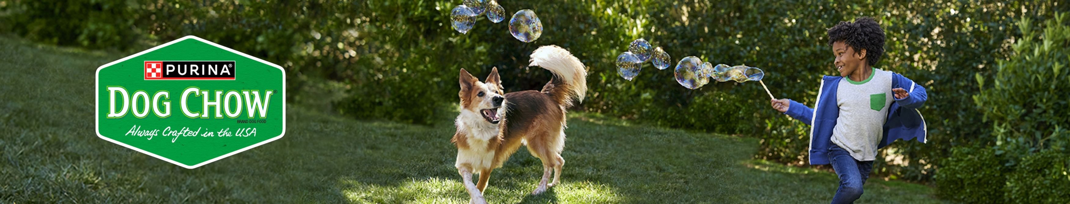 DOG CHOW Complete Adult with Real Chicken Dry Dog Food, 32-lb bag ...