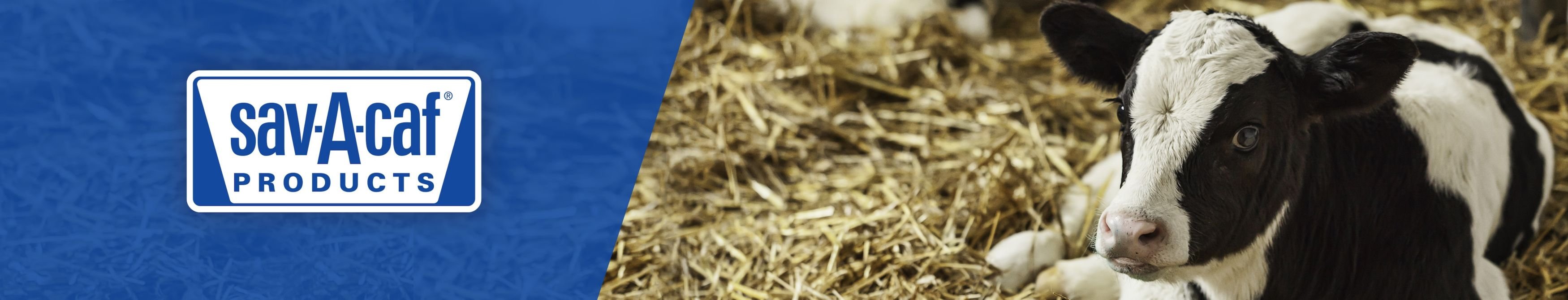 SAV-A-CAF Ultra 24 Multi Species Milk Replacer, 4-lb pouch - Chewy.com