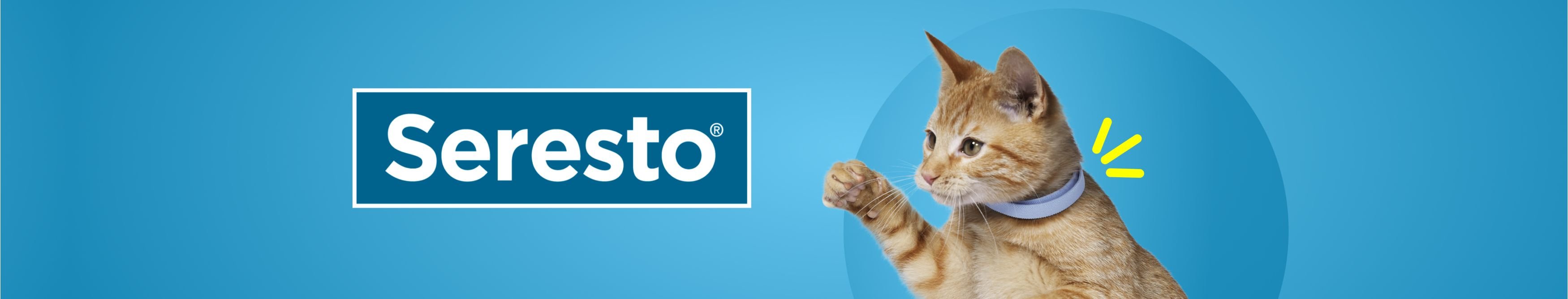 SERESTO Flea & Tick Collar for Cats, 2 Collars (16-mos. supply) - Chewy.com