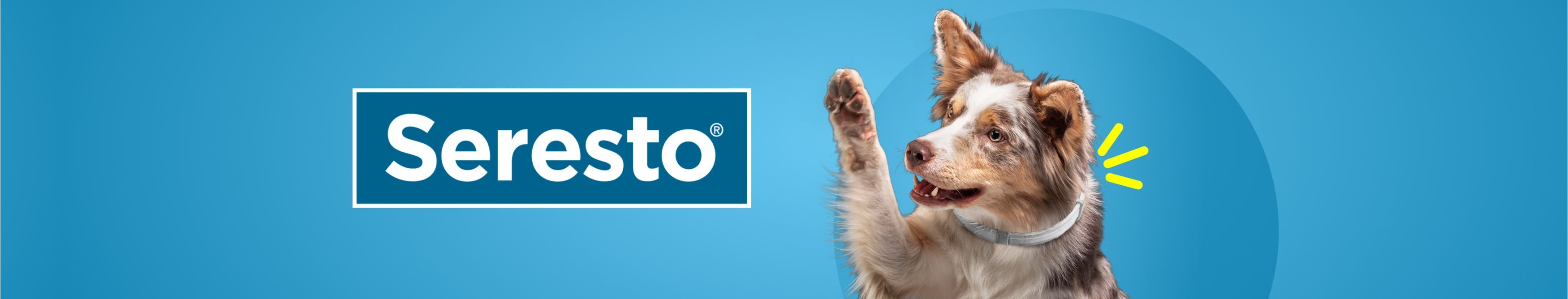 Seresto 8 Month Flea & Tick Collar for Large Dogs & Puppies at Low ...