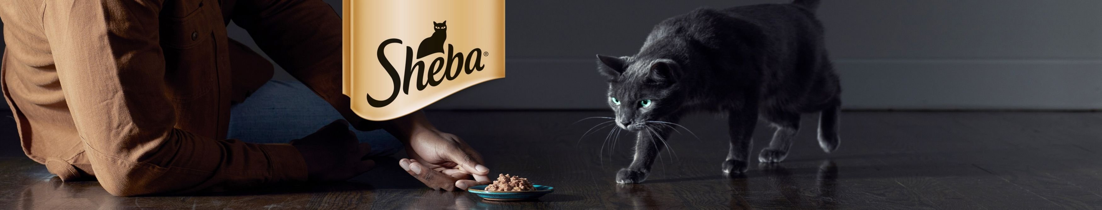 SHEBA Perfect Portions Grain-Free Tender Beef Entree Pate Adult Wet Cat ...