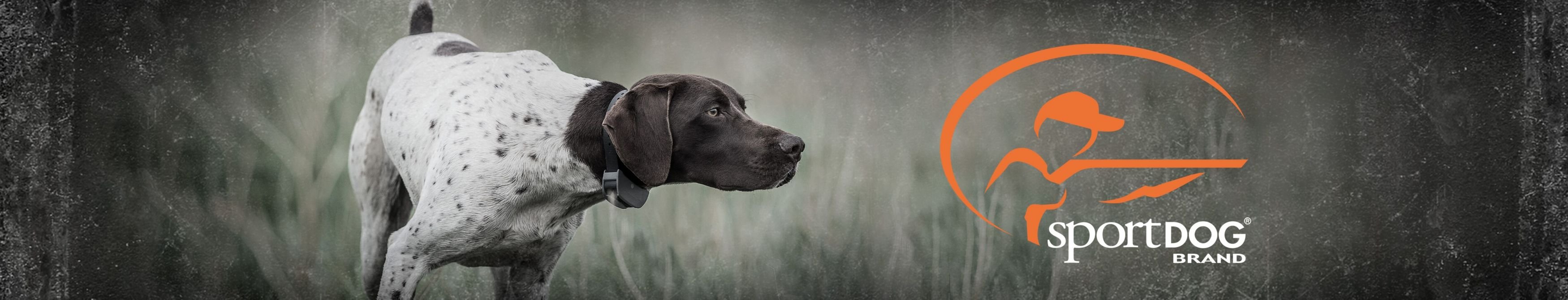 SPORTDOG FieldTrainer 425X Remote Training Dog Shock Collar - Chewy.com