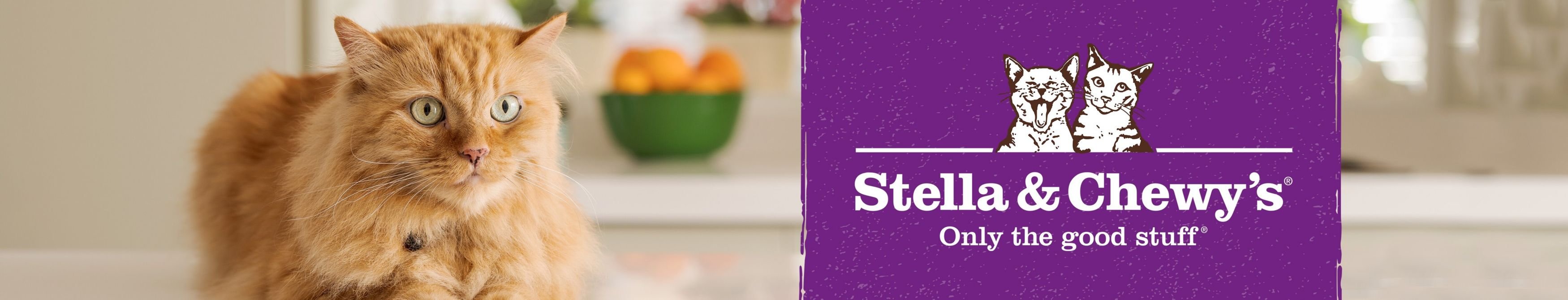 STELLA & CHEWY'S Stella's Solutions Digestive Boost Chicken Freeze ...