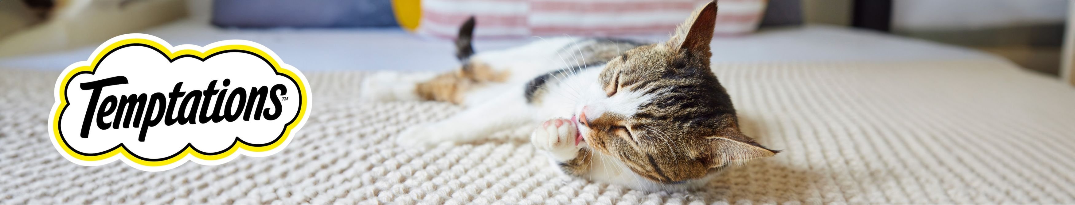 TEMPTATIONS Tempting Tuna & Chicken Flavor Adult Dry Cat Food, 6.3-lb ...