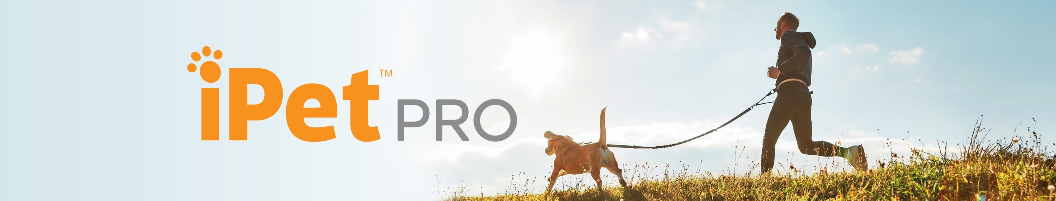 IPET PRO Blood Glucose Monitoring & Blood Glucose Test Strips for Dogs ...