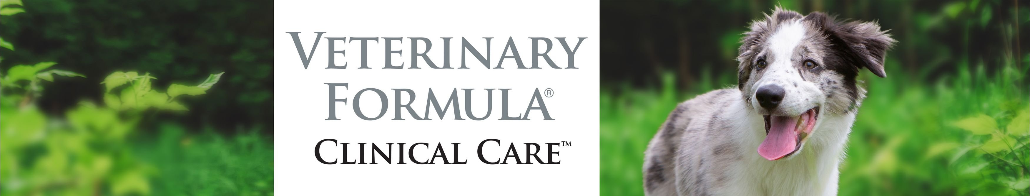 VETERINARY FORMULA CLINICAL CARE Antiseptic & Antifungal Medicated ...