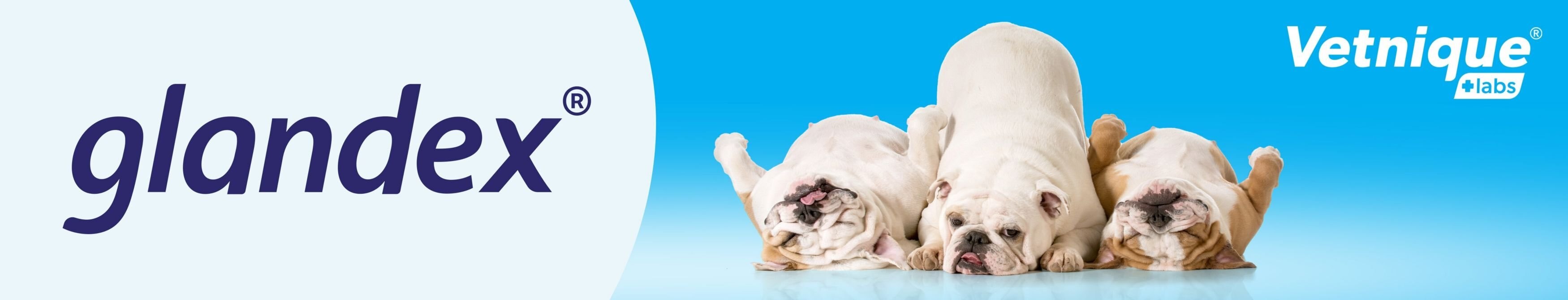 VETNIQUE LABS Glandex Anal Gland & Probiotic Peanut Butter Flavored ...