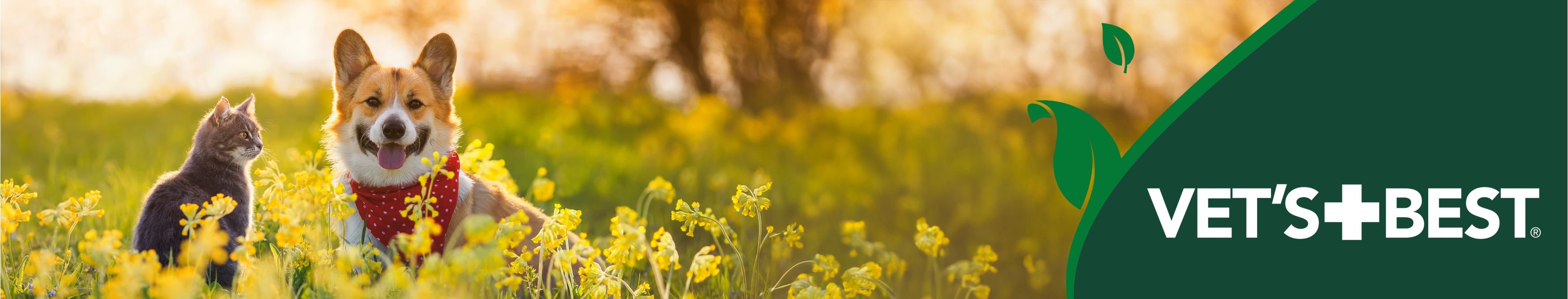 VET'S BEST Flea + Tick Yard & Kennel Natural Spray for Dogs, 32-fl oz ...