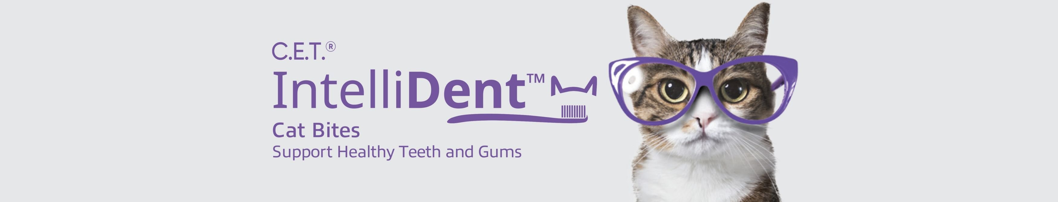 VIRBAC C.E.T. IntelliDent Cat Dental Treats, 90 count - Chewy.com