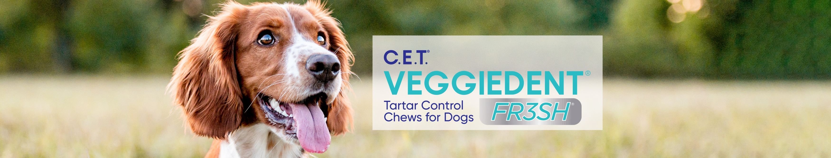 VIRBAC C.E.T. VeggieDent Fr3sh Dental Chews for Small Dogs, 30 count ...