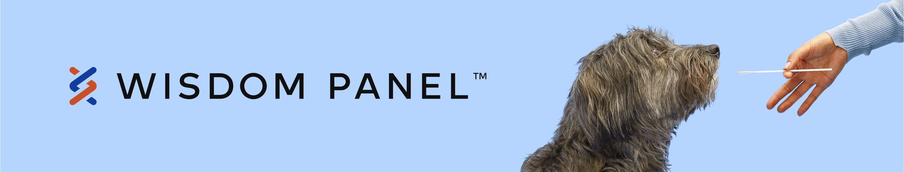 WISDOM PANEL Essential Breed Identification DNA Test for Dogs - Chewy.com