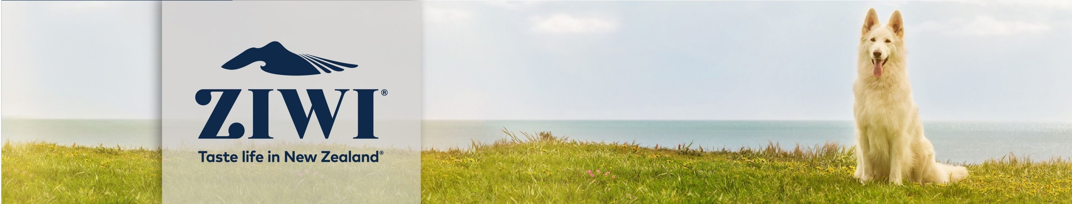 ZIWI Peak Mackerel & Lamb Recipe Canned Cat Food, 6.5-oz, case of 12 ...