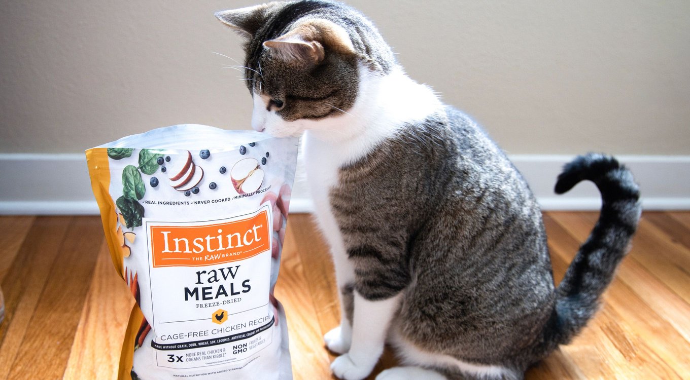 INSTINCT Tuna Entree Grain-Free Flaked Wet Cat Food, 5.5-oz can, case ...