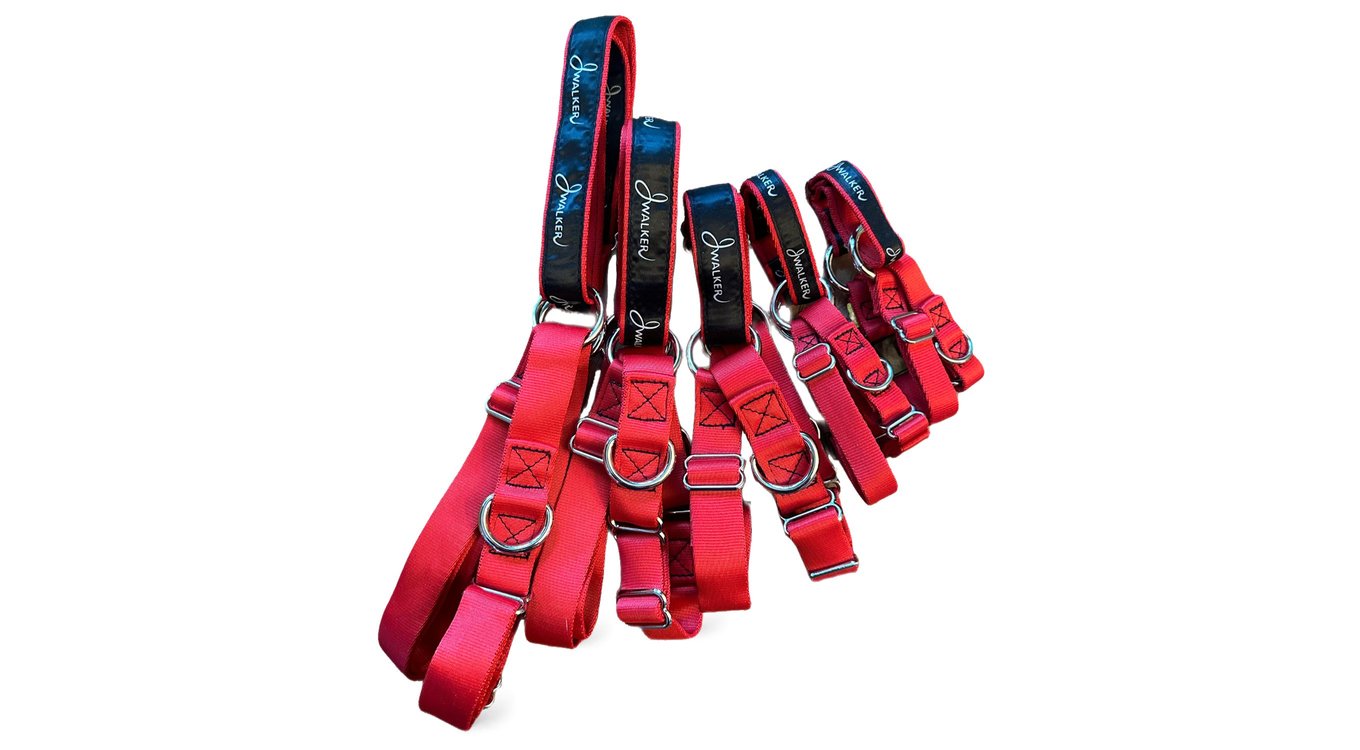 JWALKER DOG Harness, Eggplant Purple, Small/Medium - Chewy.com