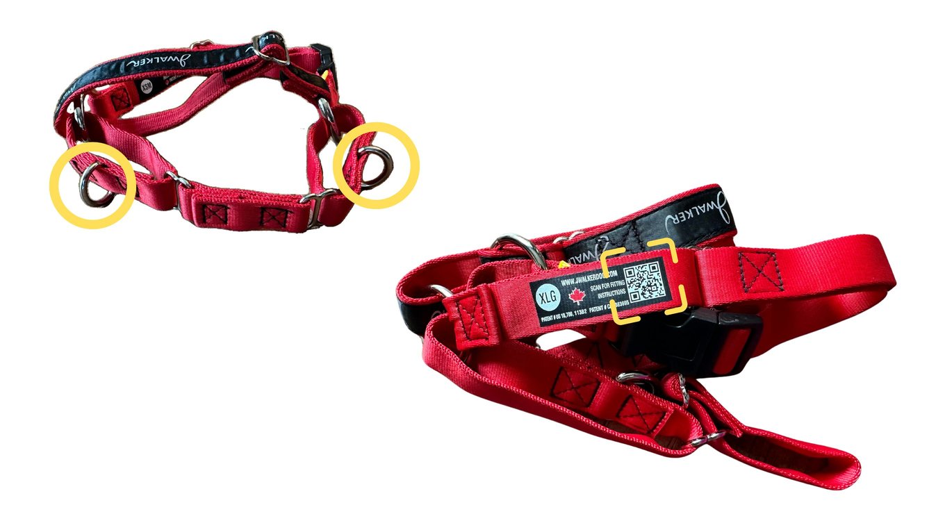 JWALKER DOG Harness, Black Bear, Medium/Large - Chewy.com