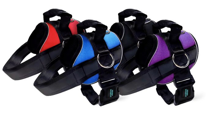 JOYRIDE HARNESS Premium Advanced No Pull Dog Harness 2.0, Purple ...