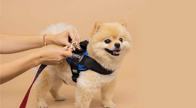 JOYRIDE HARNESS Premium Advanced No Pull Dog Harness 2.0, Red Rush ...