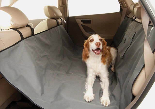 K&H PET PRODUCTS Travel Safety Pet Carrier, Gray/Black, Medium - Chewy.com