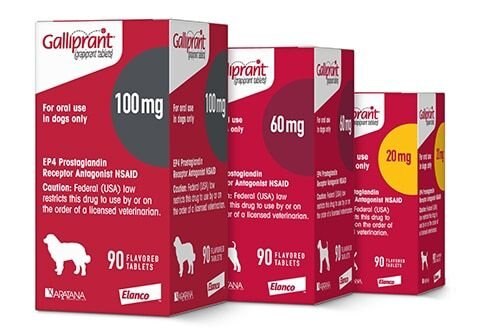GALLIPRANT (grapiprant) Tablets for Dogs, 60-mg - Easy Refills | Chewy Rx