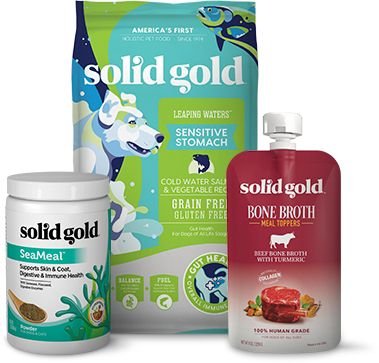 SOLID GOLD Mighty Mini Chicken, Chickpea & Pumpkin Recipe in Gravy ...