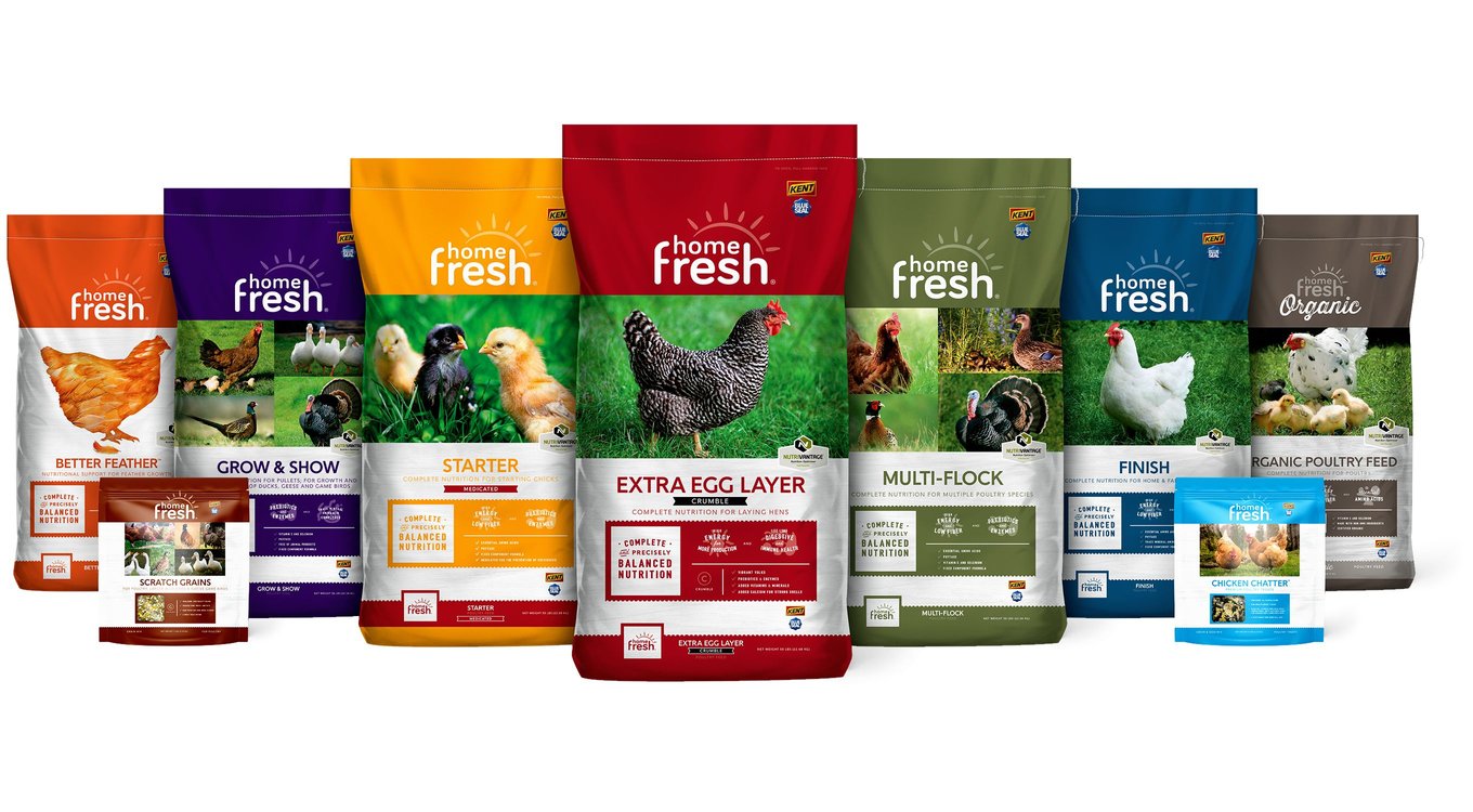 KENT / BLUE SEAL Home Fresh Extra Egg Layer 17% Protein Pellets Poultry ...