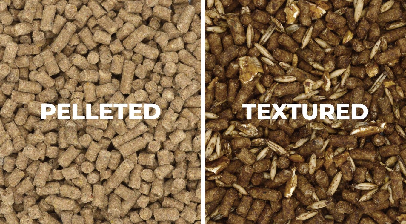 KENT / BLUE SEAL Inspire Hay Stretcher Large Pellet Horse Feed, 50-lb ...