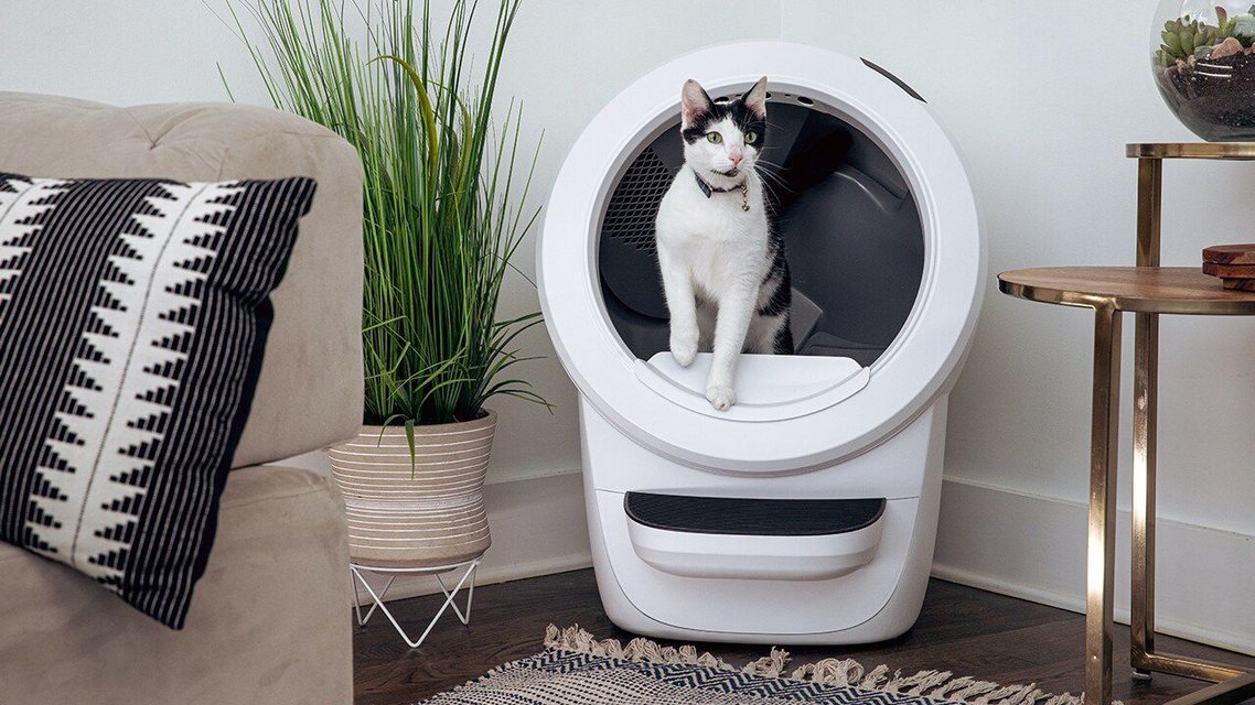 LITTER-ROBOT 4 Automatic Self-Cleaning Cat Litter Box, White - Chewy.com
