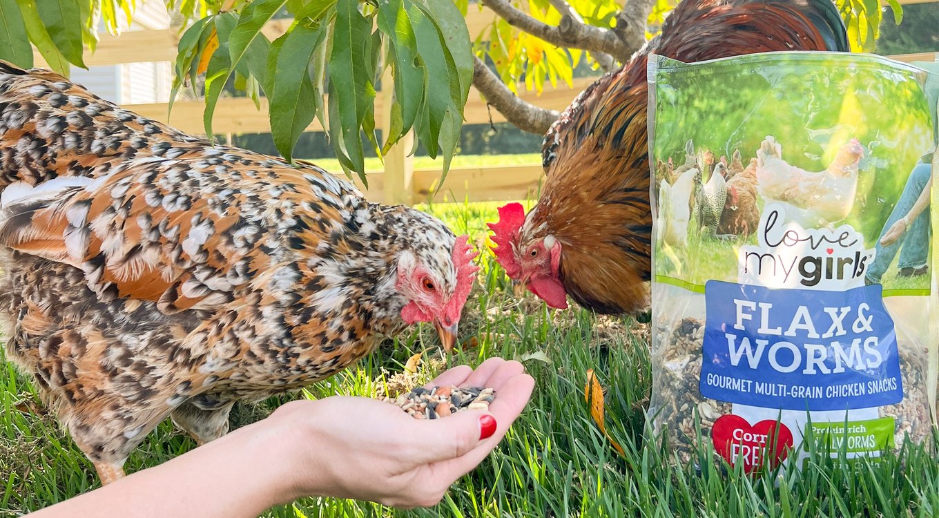 LOVE MY GIRLS Fruit & Worms Corn-Free Gourmet Chicken Treats, 5-lb bag ...