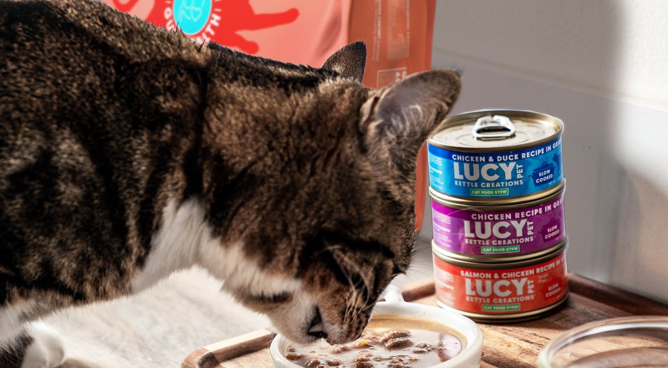 Out of Stock - LUCY PET PRODUCTS Chicken, Brown Rice & Pumpkin Limited ...