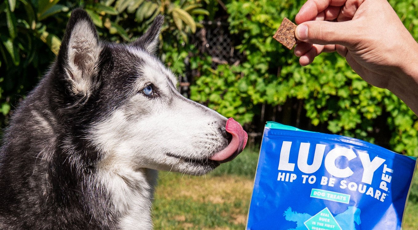 LUCY PET PRODUCTS Skippin' Rounds Pea-Free Beef Formula Crunchy Dog Treats, 8-oz bag - Chewy.com