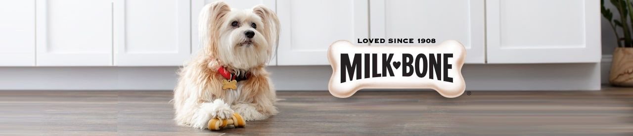 MILK-BONE Original Large Biscuit Dog Treats, 4-lb box - Chewy.com