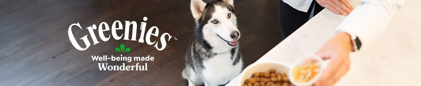 Greenies: Pet Dental Treats (Free Shipping) | Chewy