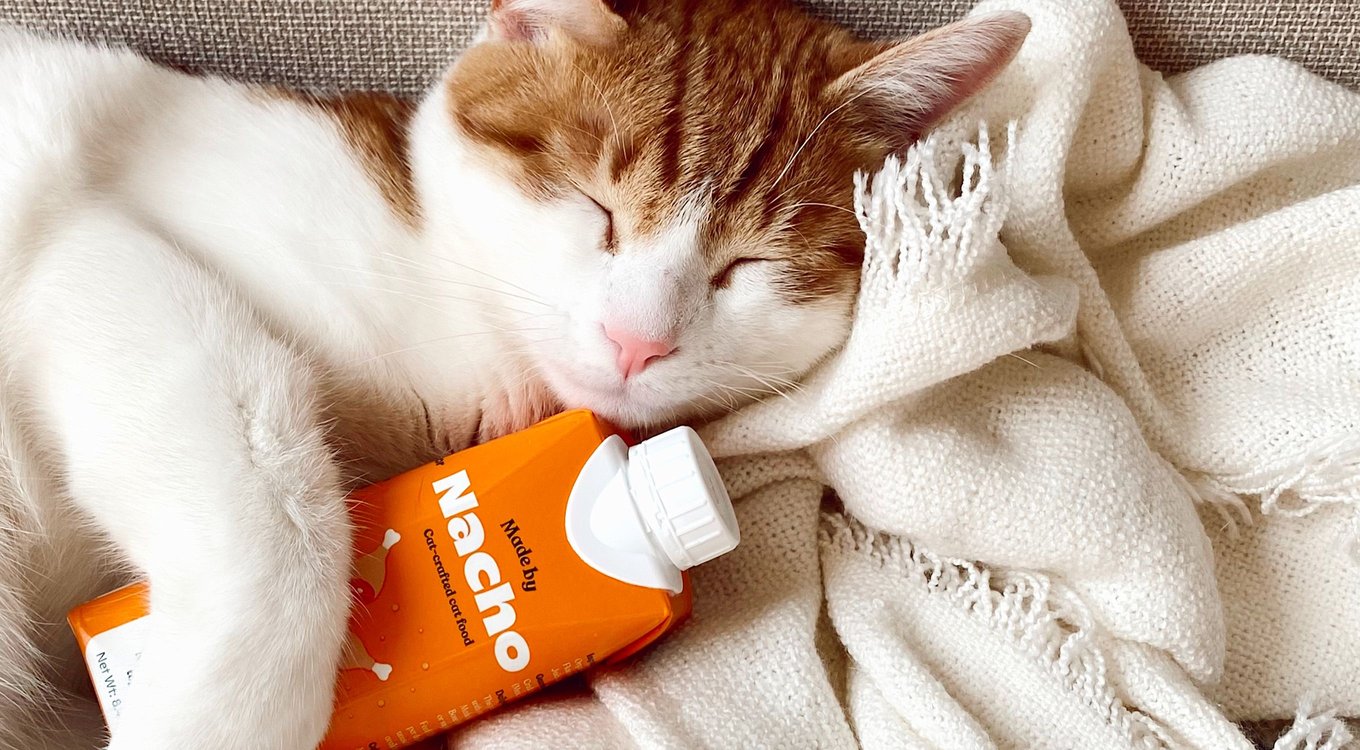 MADE BY NACHO Chicken Bone Broth Grain- Free Wet Cat Food Topper, 11-oz ...