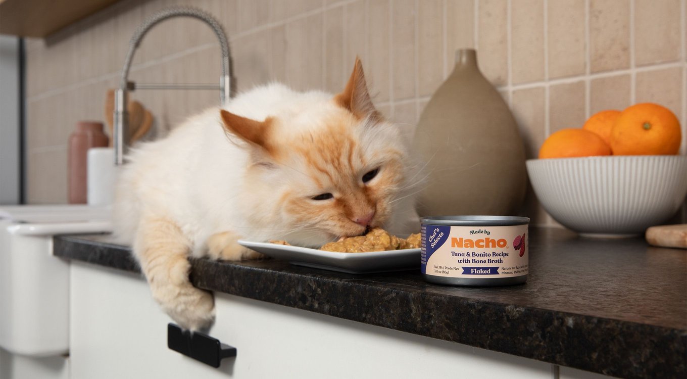 MADE BY NACHO Wild-Caught Chicken & Herring Recipe with Bone Broth ...