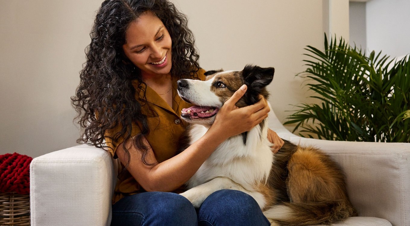 MERRICK Limited Ingredient Diet Grain-Free Chicken-Free Real Lamb ...