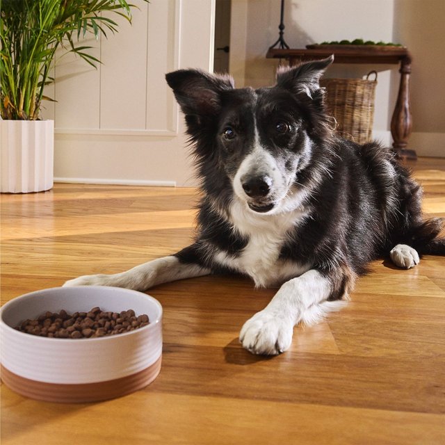 MERRICK Classic Healthy Grains Real Chicken + Brown Rice Recipe with ...