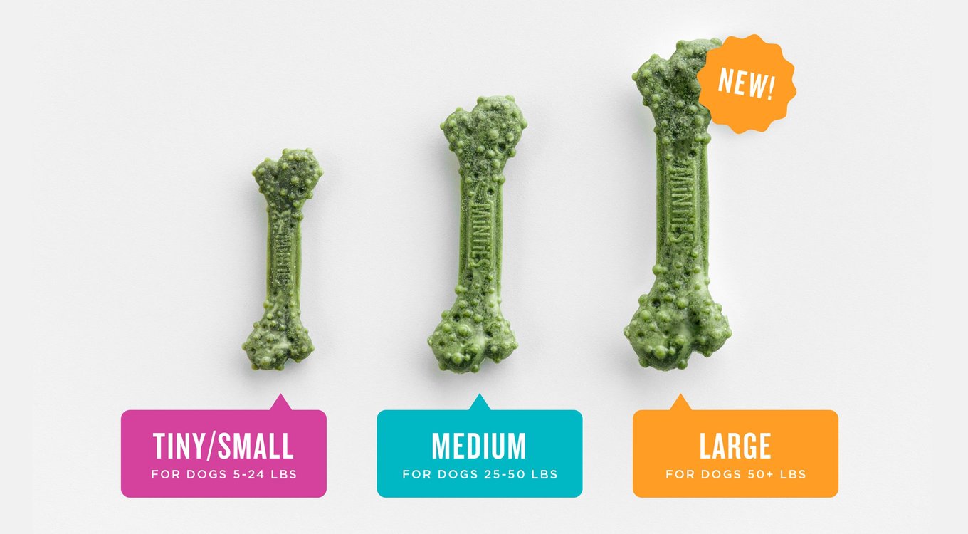 MINTIES Medium Mint Flavored Dental Treats for Dogs, 25-50 lbs, 16-oz ...