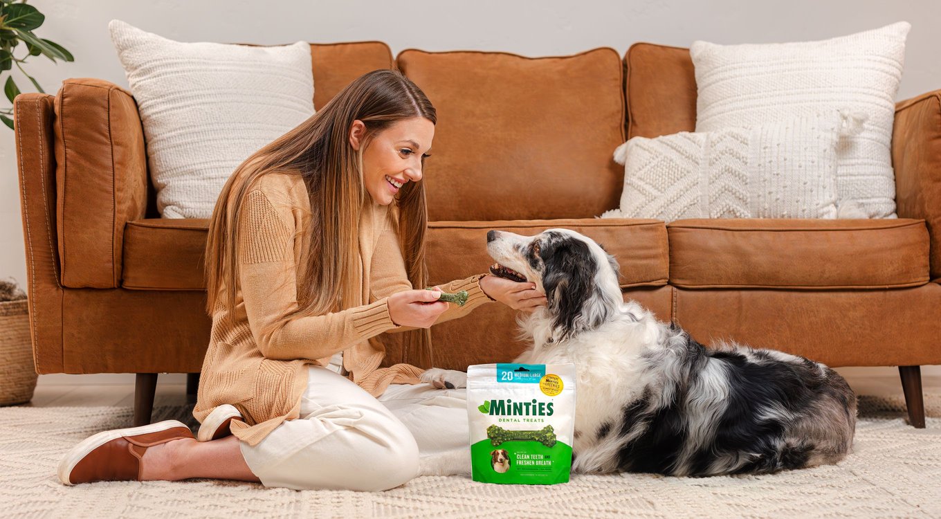 MINTIES Medium Mint Flavored Dental Treats for Dogs, 25-50 lbs, 16-oz ...