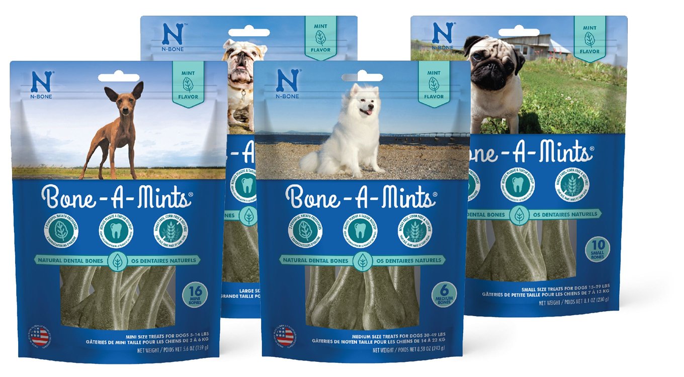 N-BONE Bone-A-Mints Mint Flavored Medium Dental Dog Treats, 6 count - Chewy.com