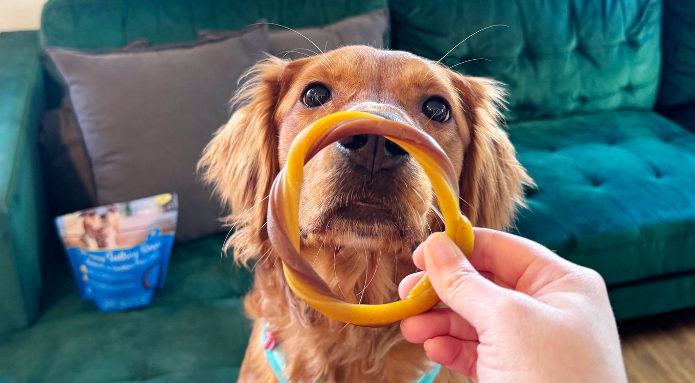 N-BONE Puppy Teething Rings Peanut Butter Flavor Dental Dog Treats, 6 ...