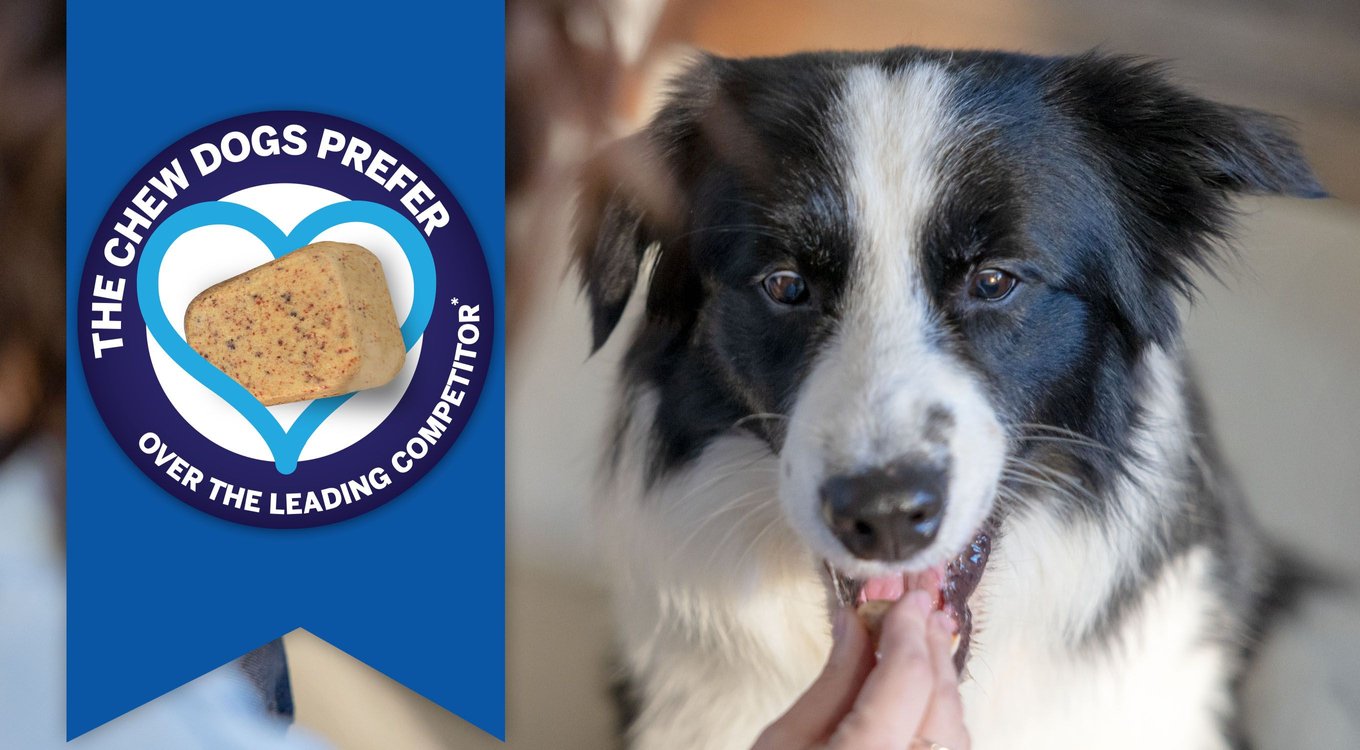 NEXGARD PLUS Chewables for Dogs, 66.1-132 lbs. (Red Box) - Easy Refills ...