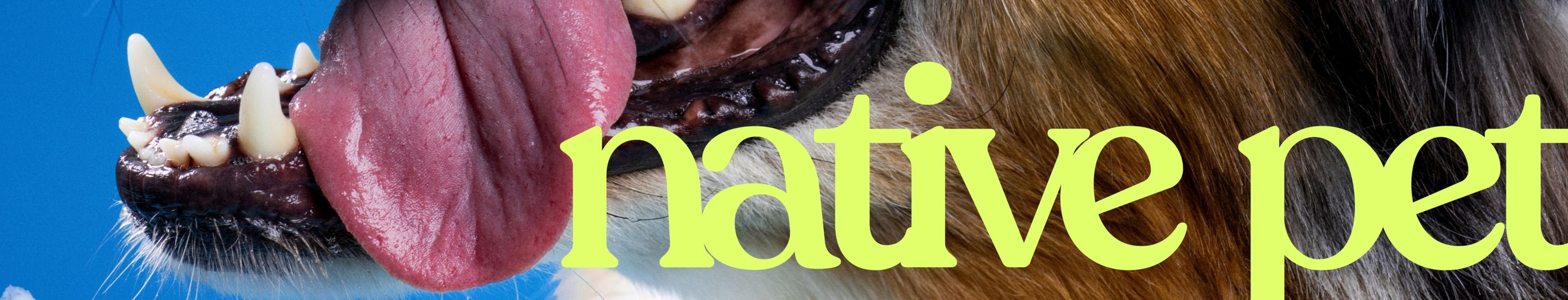 NATIVE PET The Daily Powder 11-in-1 Multivitamin Supplement for Dogs ...