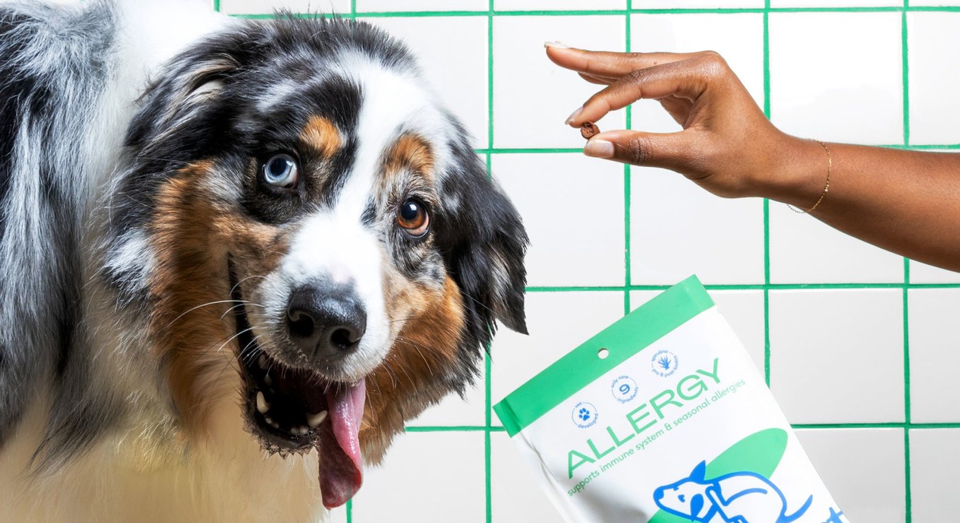 NATIVE PET The Daily Powder 11-in-1 Multivitamin Supplement for Dogs ...