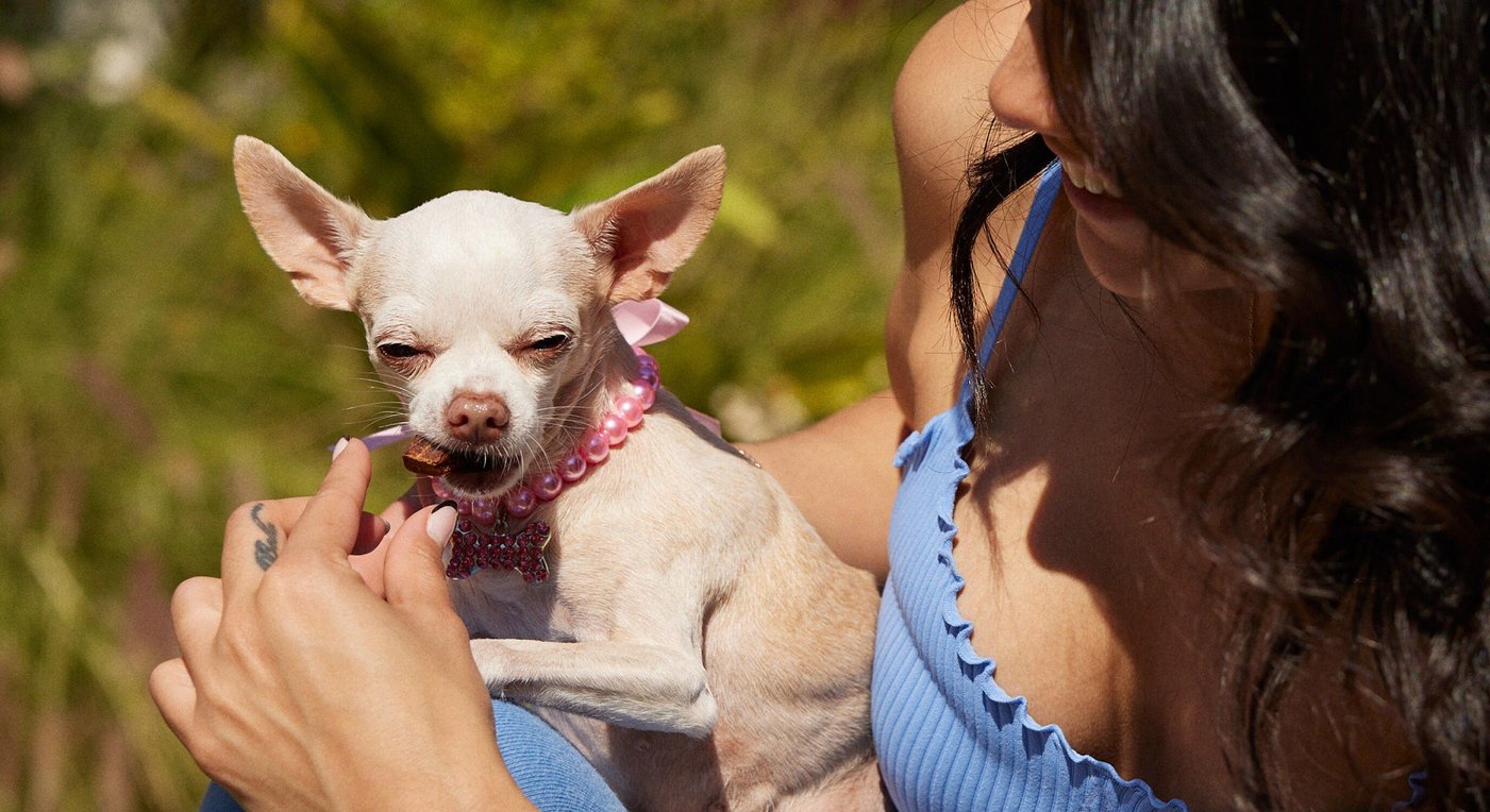 NATIVE PET The Daily Powder 11-in-1 Multivitamin Supplement for Dogs ...