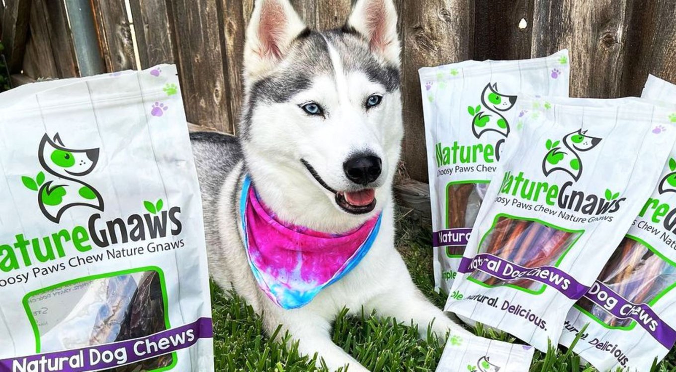 NATURE GNAWS USA Turkey Rings Natural Dog Chew Treats, 8-oz bag - Chewy.com