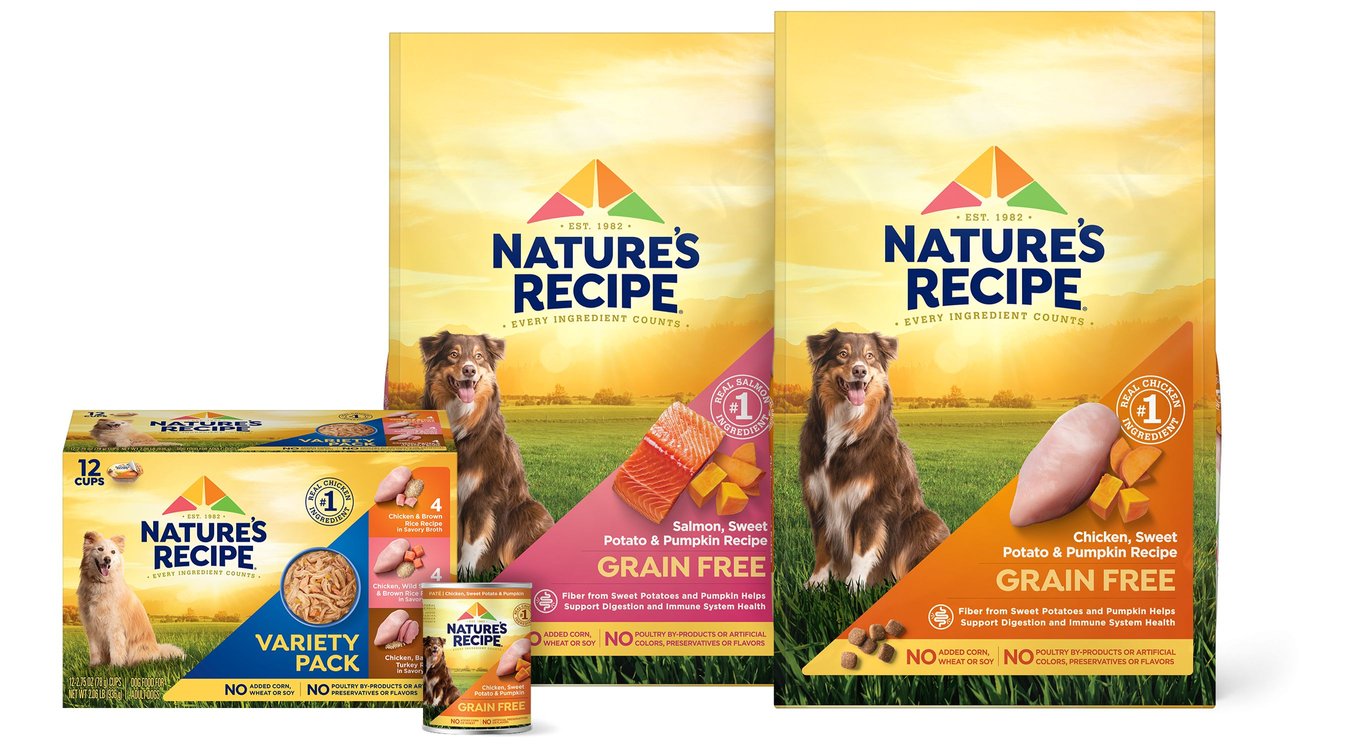 NATURE'S RECIPE Grain-Free Salmon, Sweet Potato & Pumpkin Recipe Dry ...