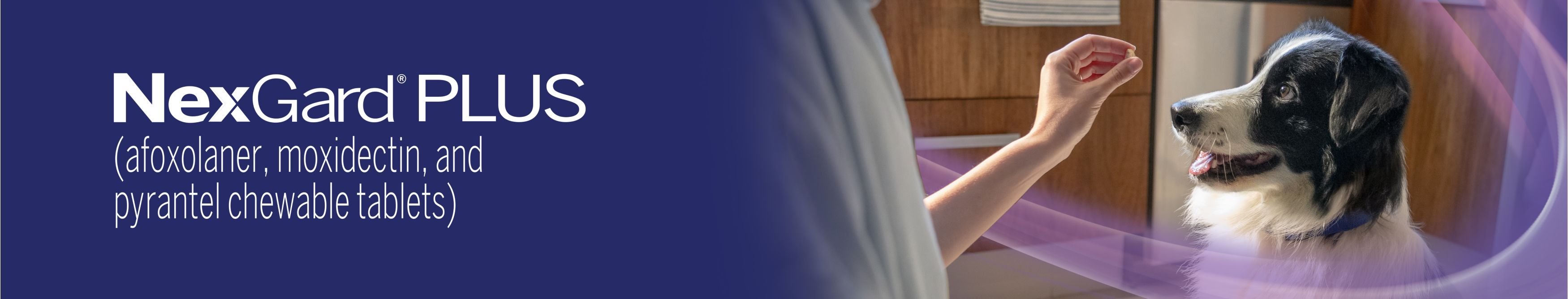 NEXGARD PLUS Chewables for Dogs, 66.1-132 lbs. (Red Box) - Easy Refills ...